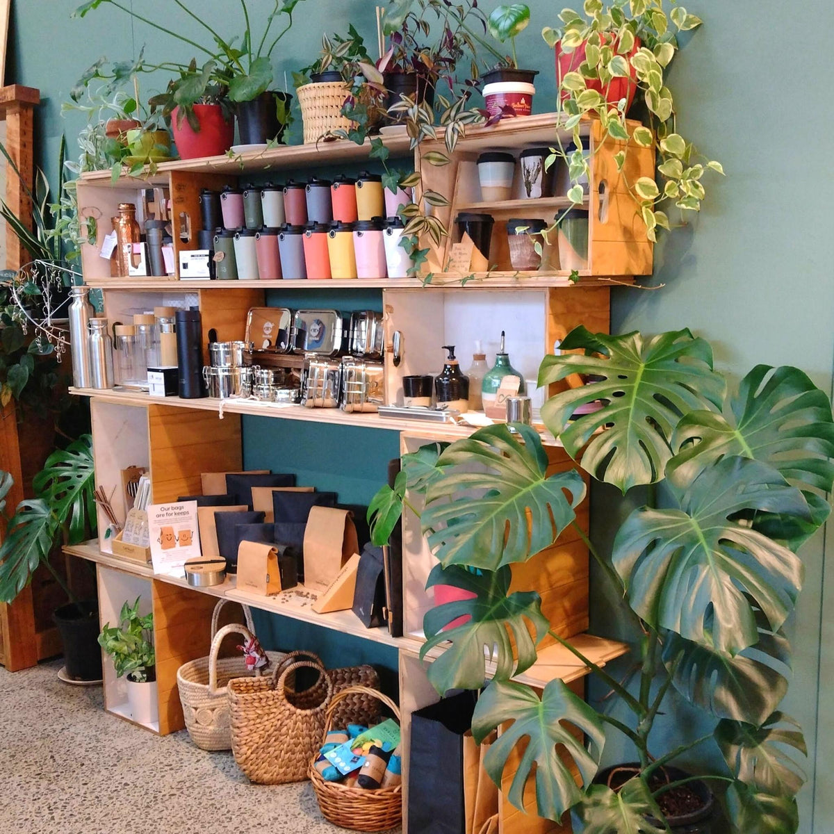 Earthlove - Eco Shop - All Your Eco-Friendly Needs & More!